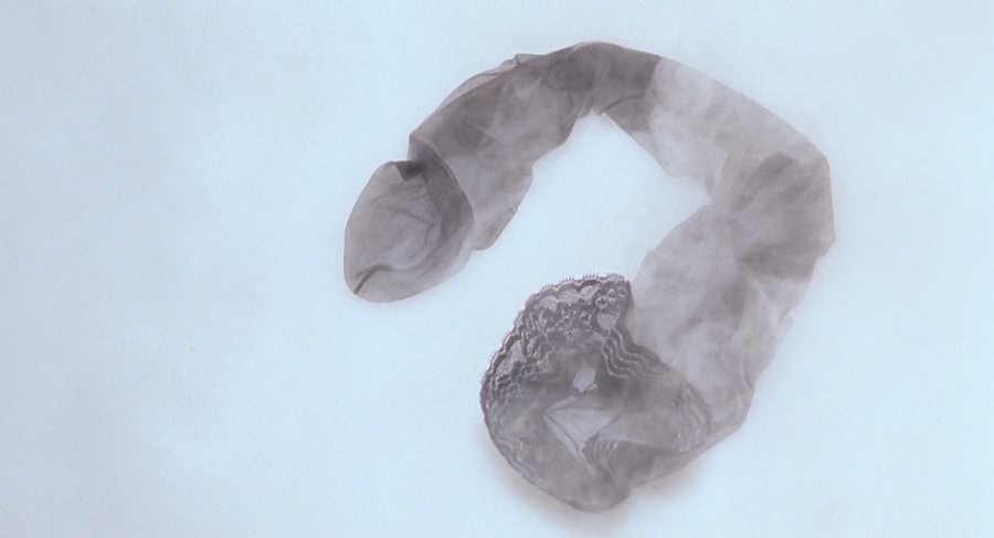 The Fly (1986) | RAREMEAT BLOG